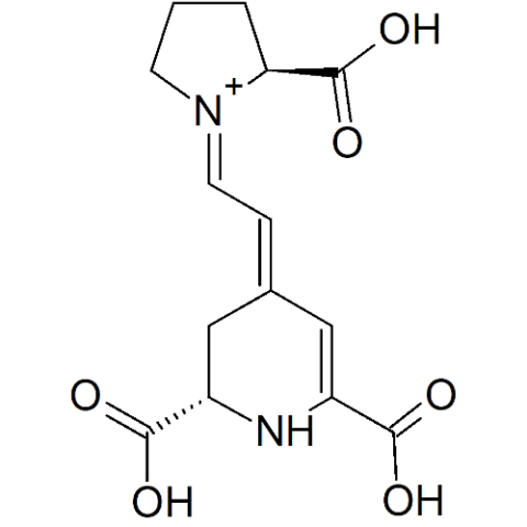 Indicaxanthin #2000 | Betaelegans